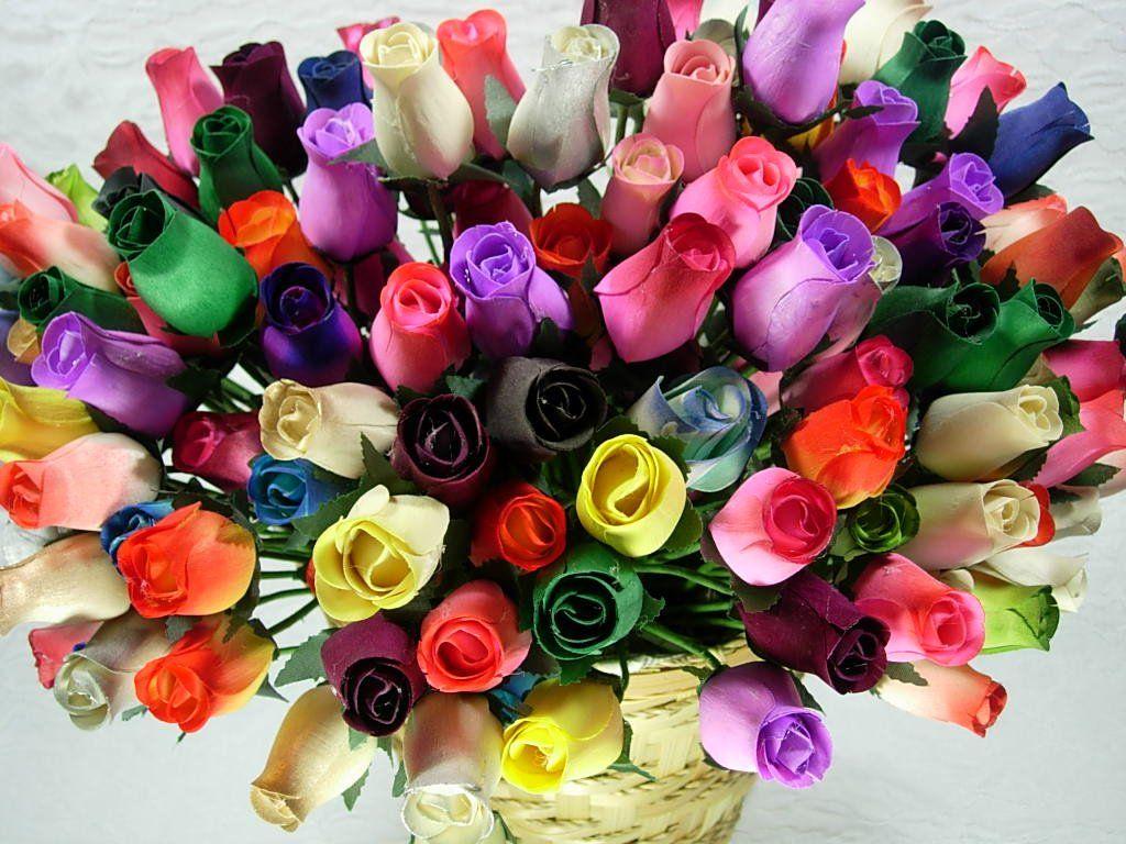 Rose Day Wallpapers With Coloured Roses - Wallpaper Cave