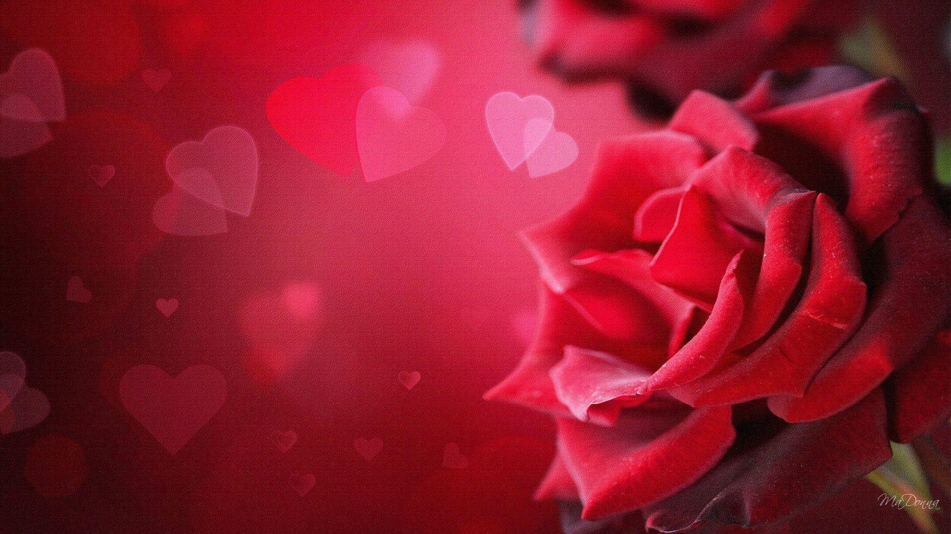 Red Roses Heart Wallpapers - Wallpaper Cave