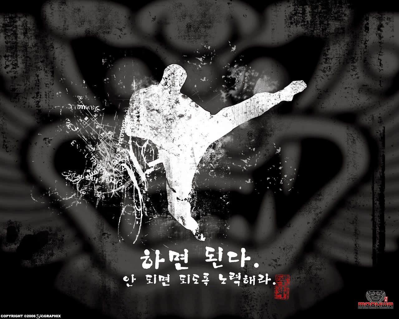 Karate Kick HD PC Wallpapers - Wallpaper Cave