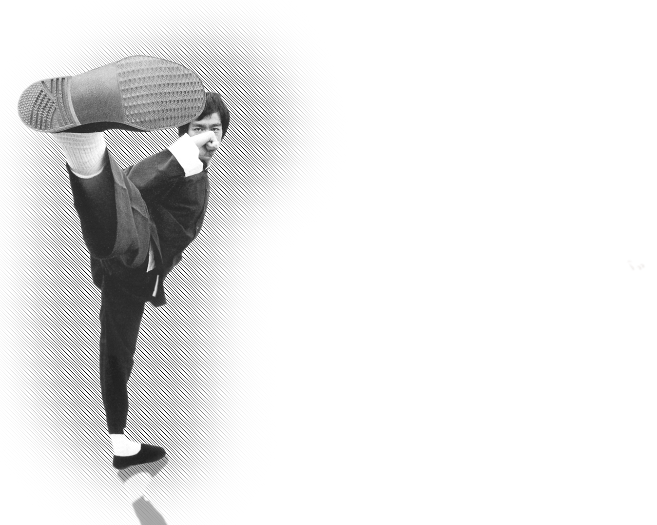 Karate Kick HD PC Wallpapers - Wallpaper Cave