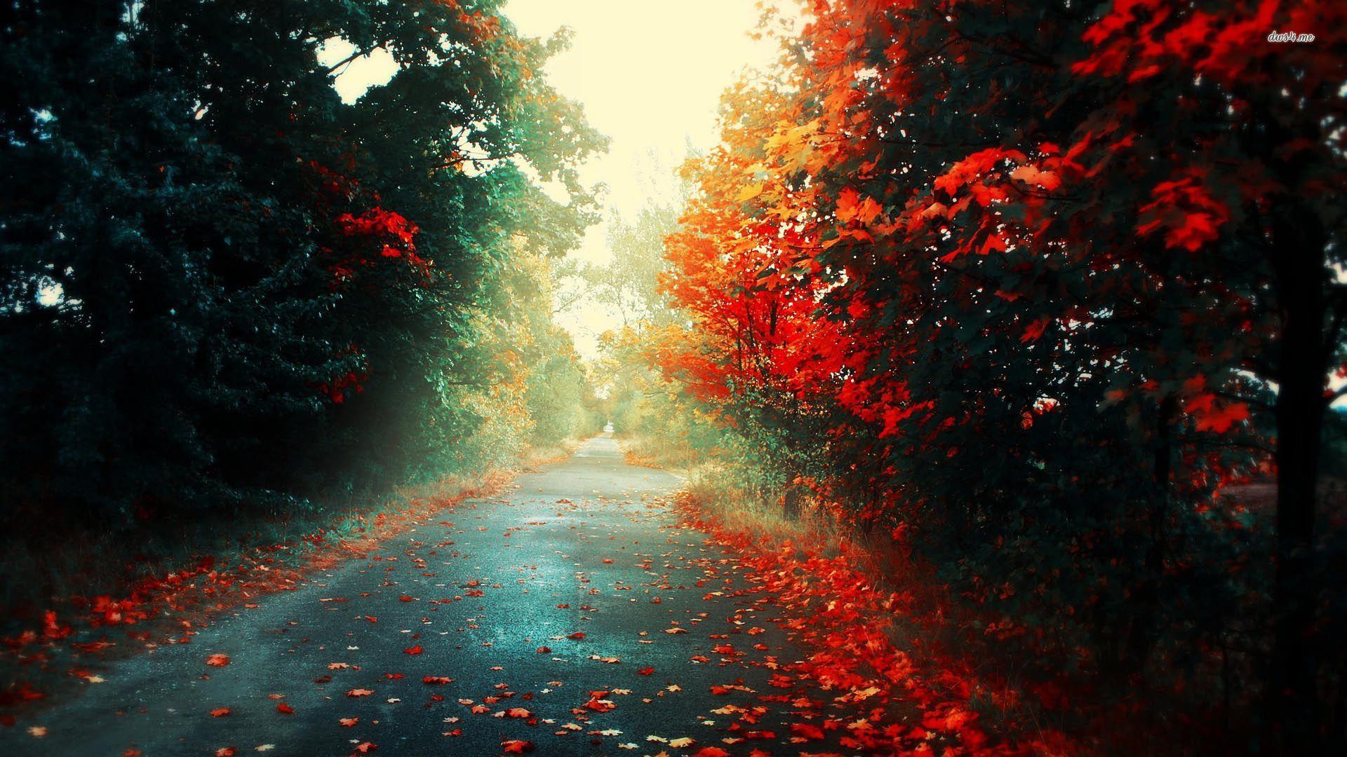 Wallpapers Monsoon - Wallpaper Cave