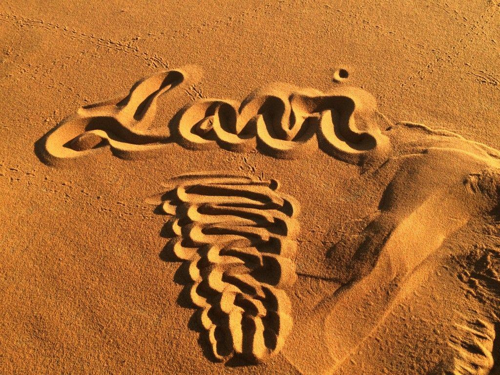 Lavi Wallpapers - Wallpaper Cave