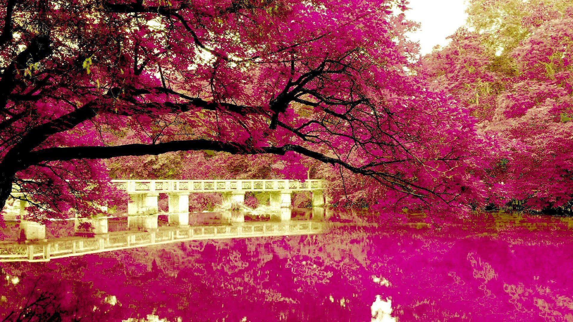 Pink Tree Desktop Wallpapers - Wallpaper Cave