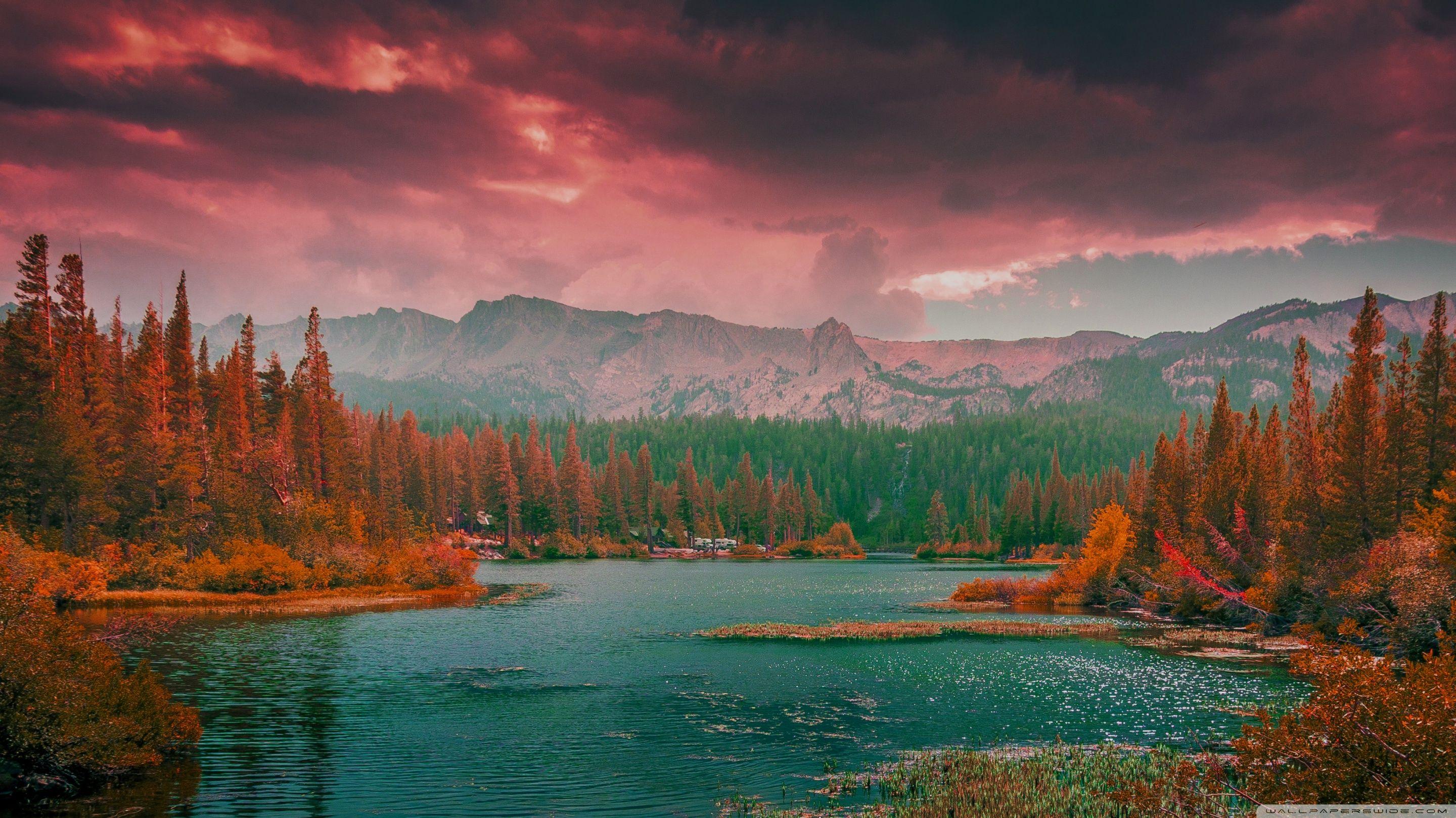 Good Body Wallpapers - Wallpaper Cave
