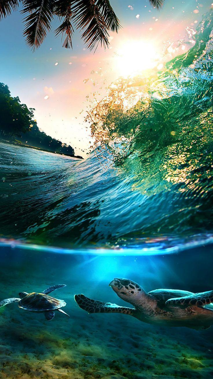 Good Body Wallpapers - Wallpaper Cave