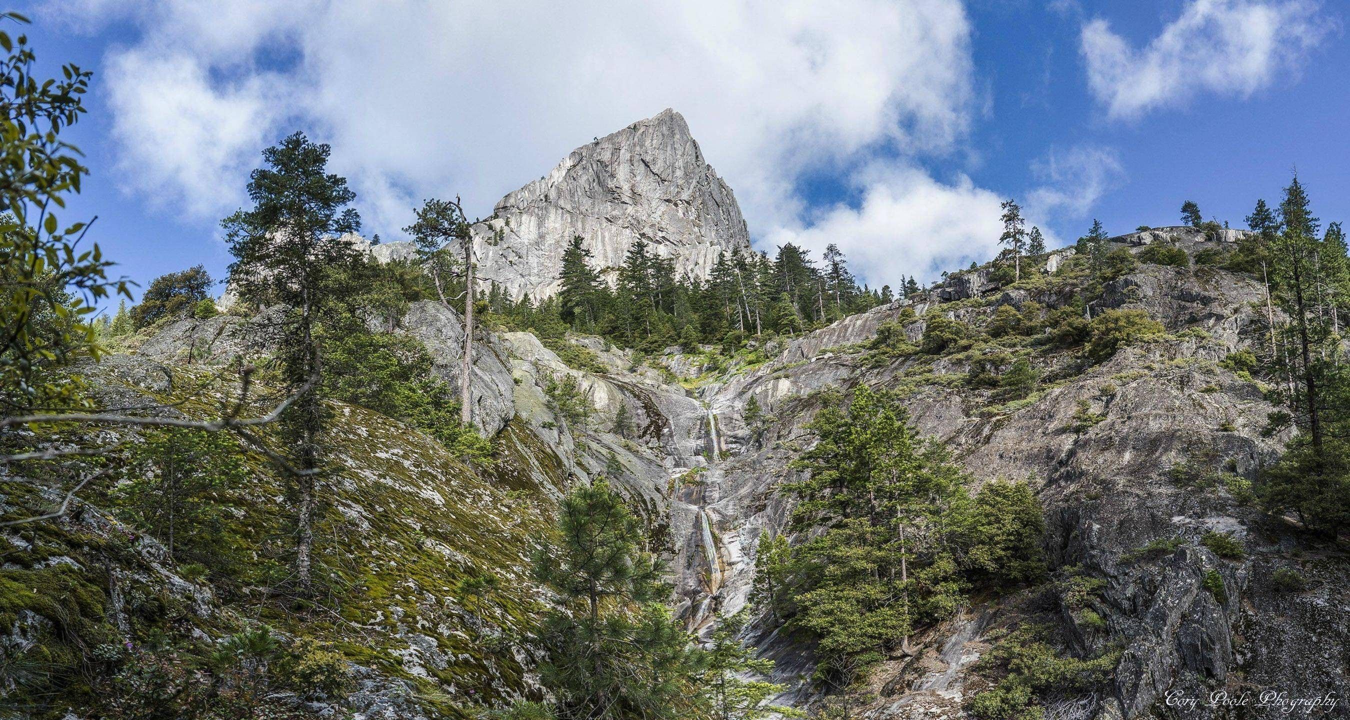 Root Cool Wallpapers - Wallpaper Cave