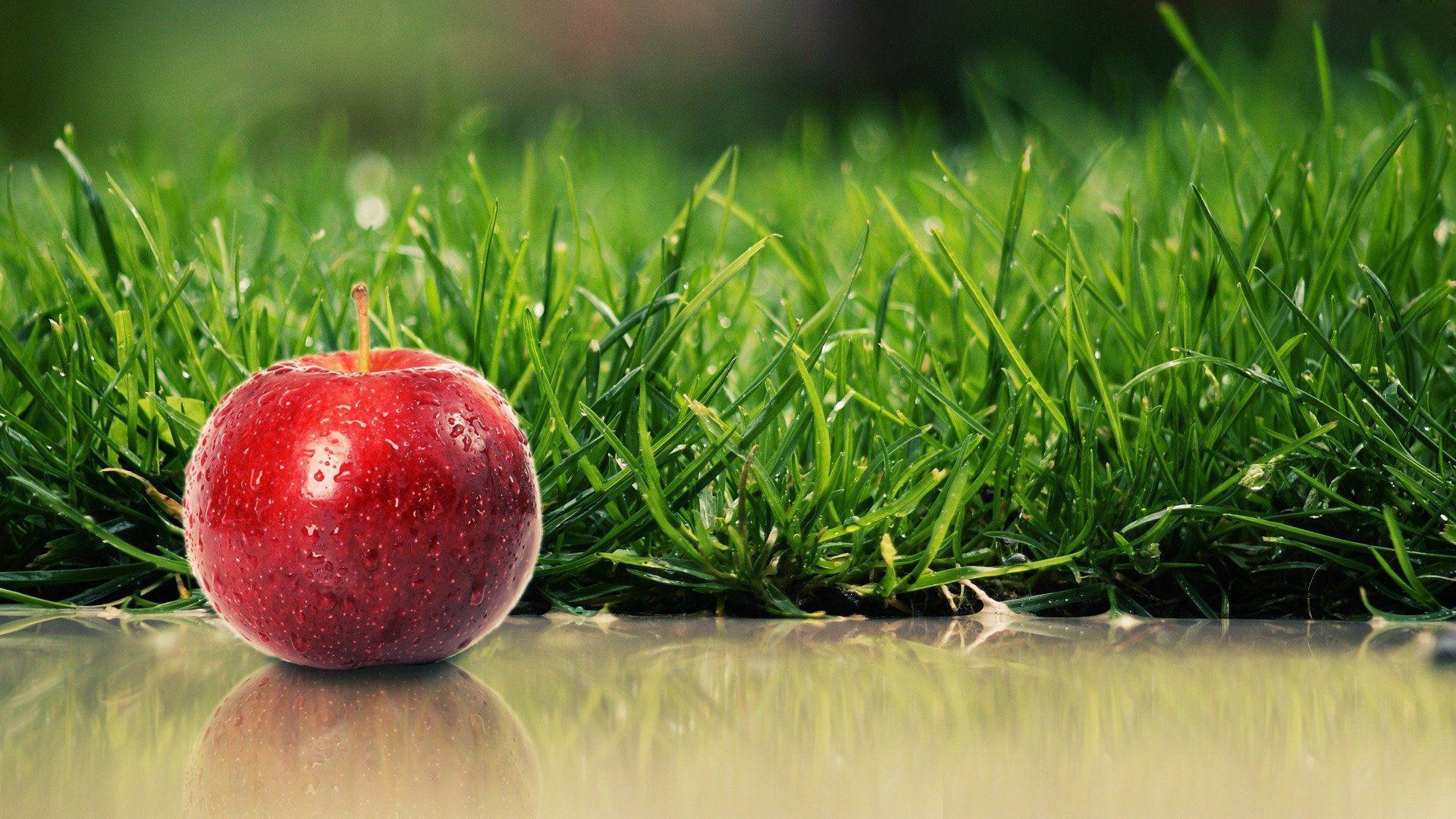 Apple Wallpapers Grass - Wallpaper Cave