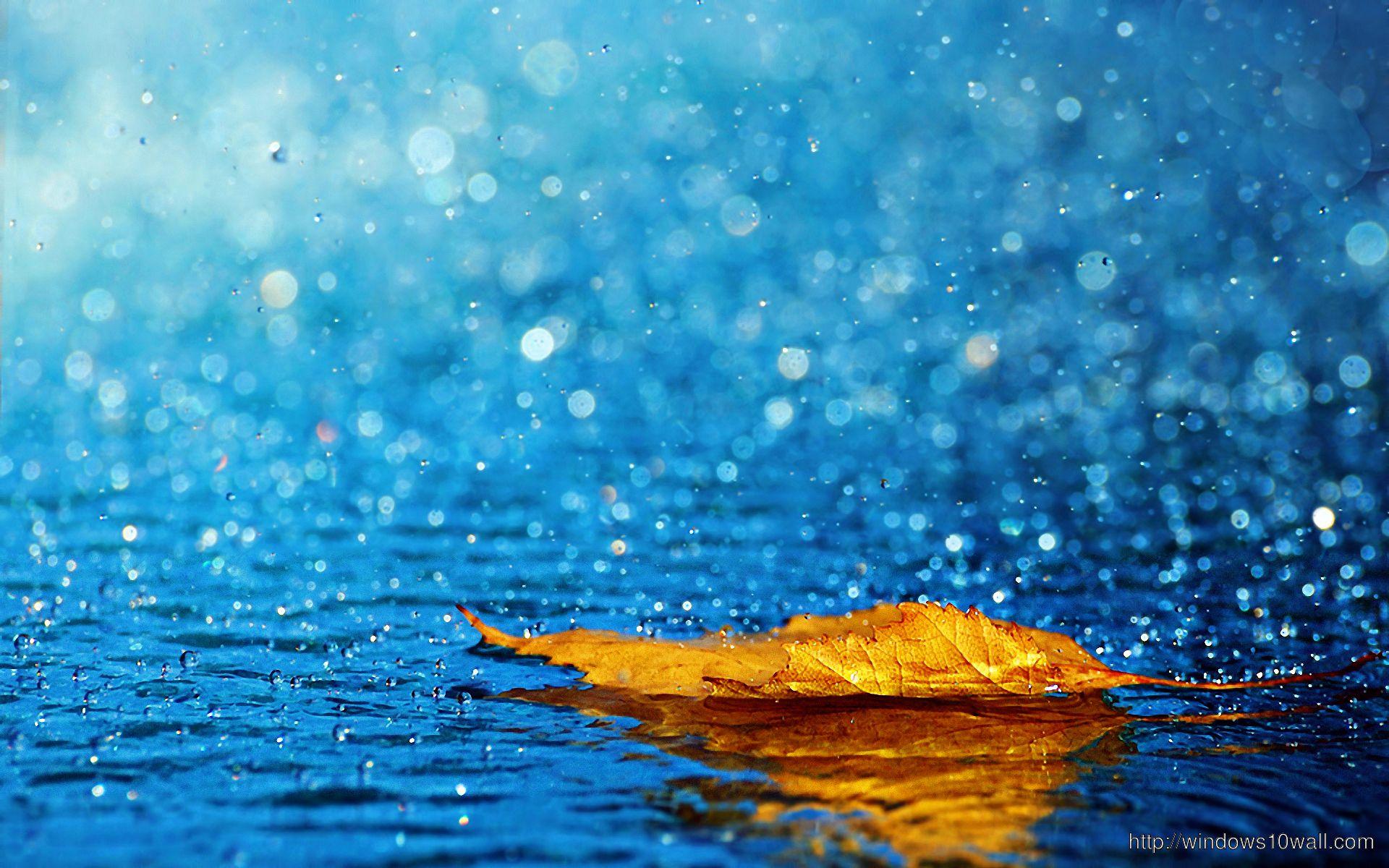 Nature Raining Wallpapers - Wallpaper Cave
