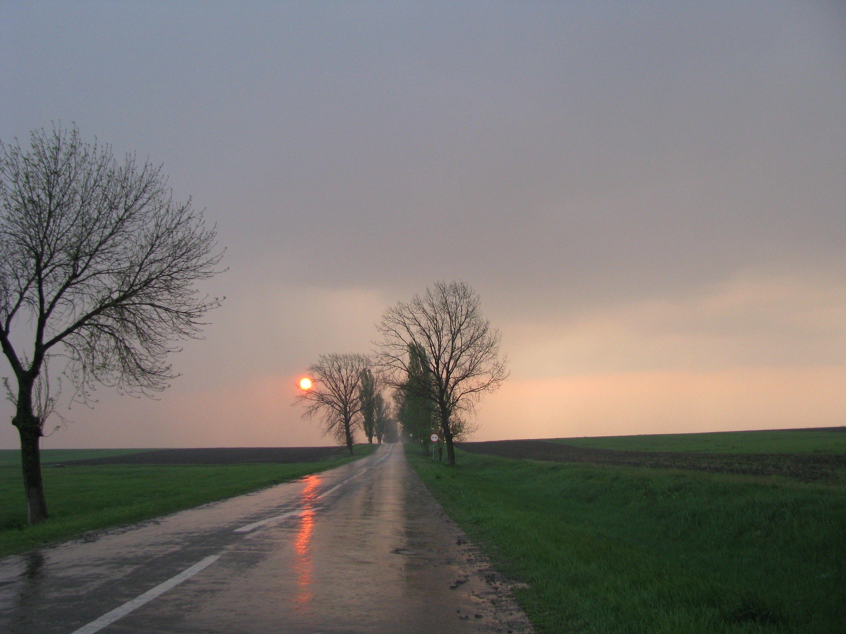 Nature Raining Wallpapers - Wallpaper Cave