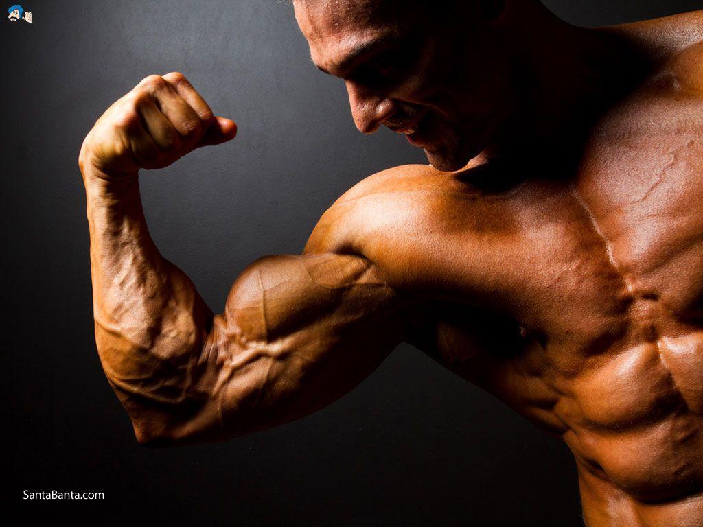 All Bodybuilder Wallpapers - Wallpaper Cave
