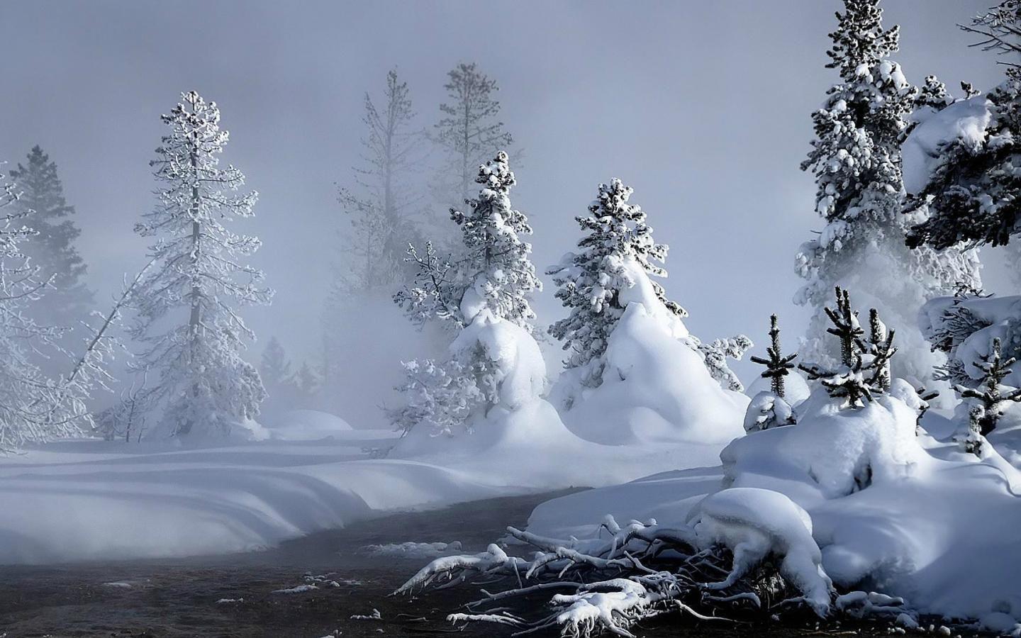 Snow Fall Wallpapers - Wallpaper Cave