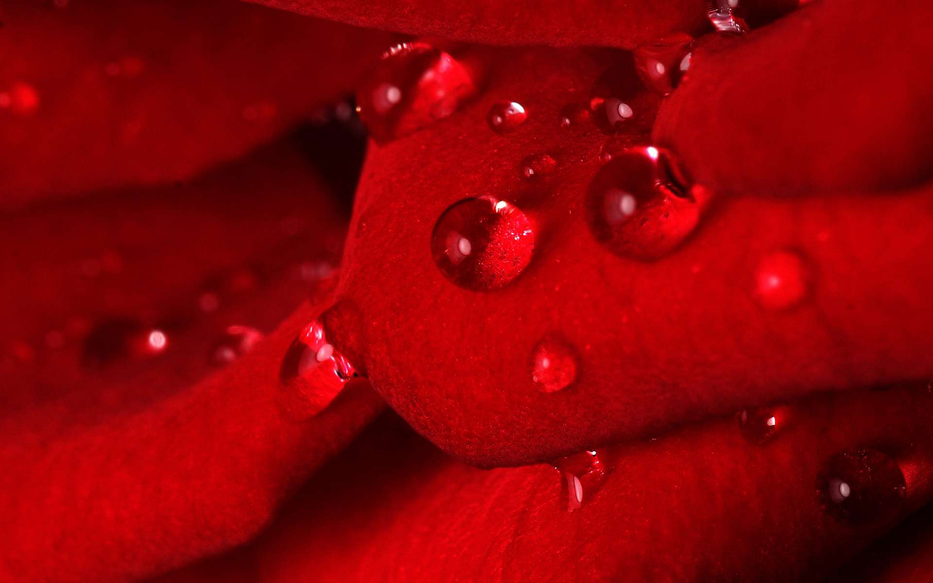Red Water Drop Wallpapers - Wallpaper Cave
