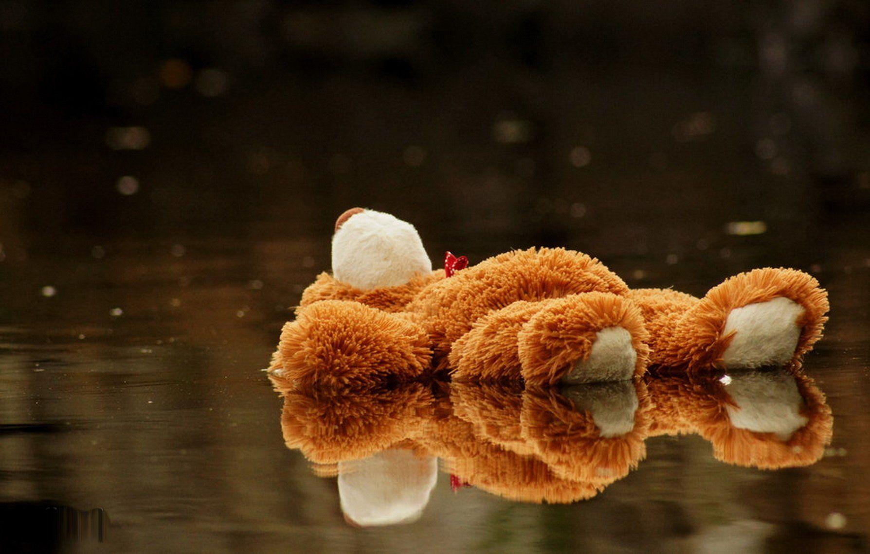 Wallpapers Teddy Bear Crying - Wallpaper Cave