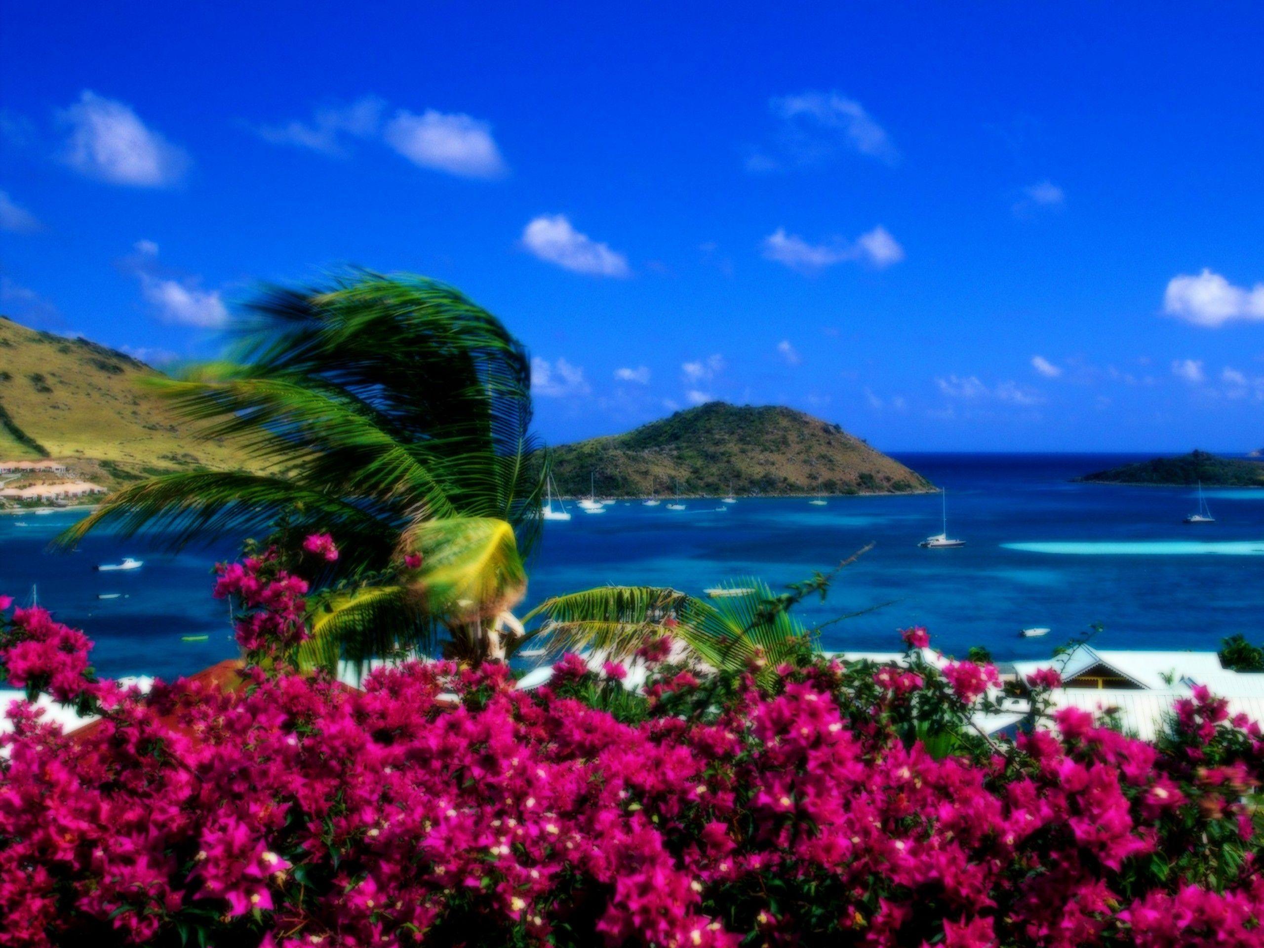 Beautiful Ocean Scenery Wallpapers Wallpaper Cave