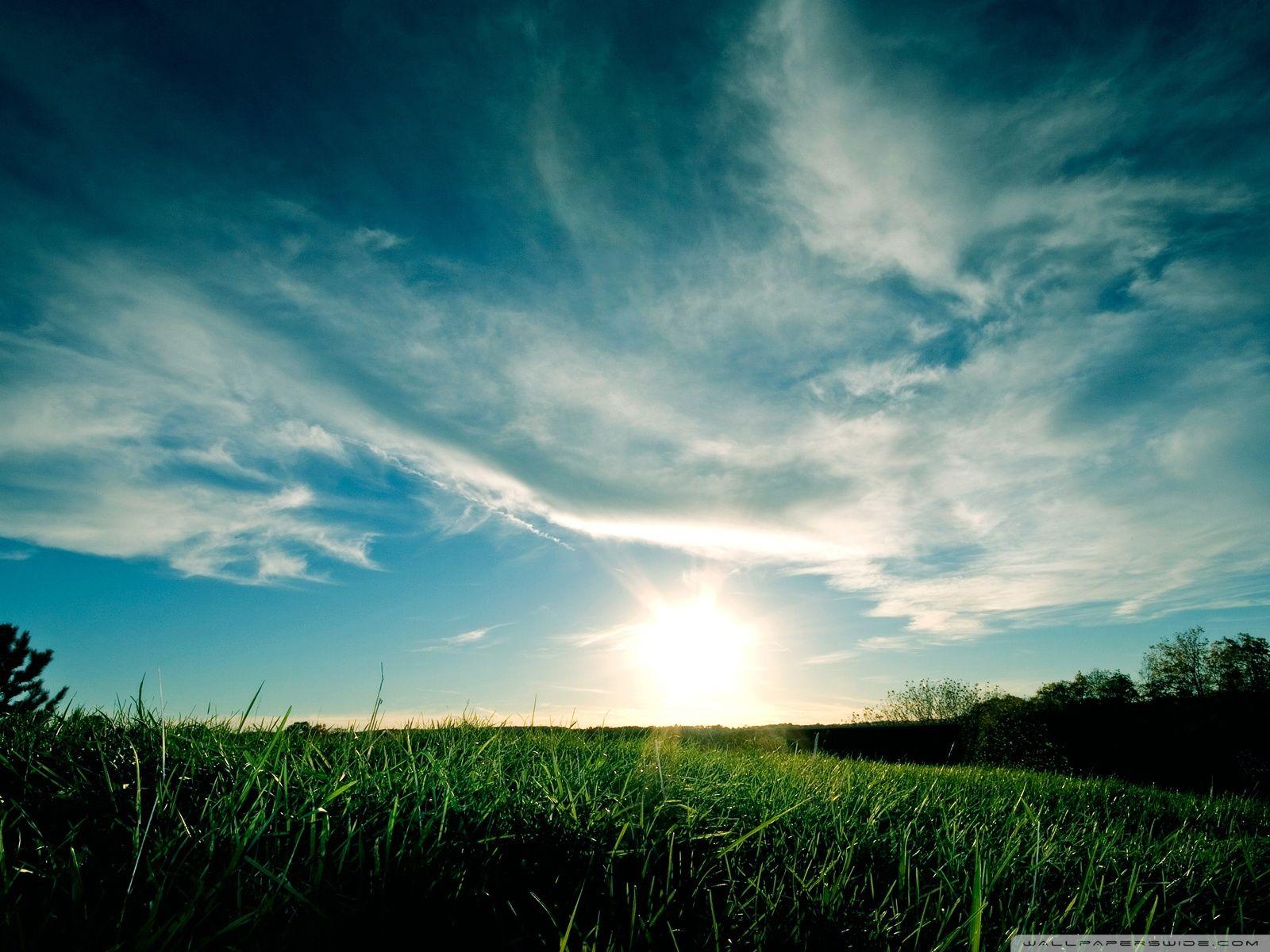 Sunny Wallpapers HD - Wallpaper Cave