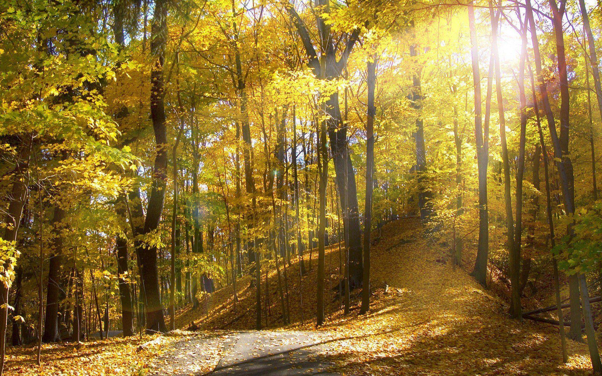 Sunny Wallpapers HD - Wallpaper Cave