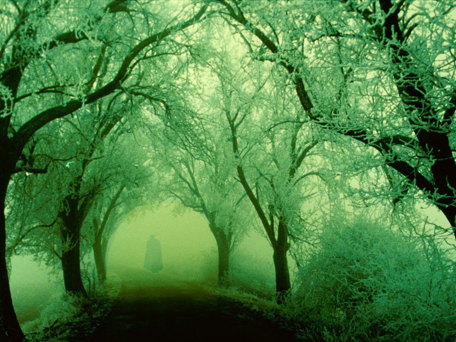 Haunted Backgrounds - Wallpaper Cave