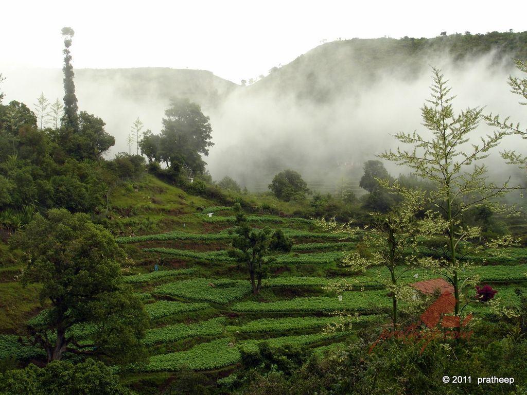 Ooty Wallpapers HD Gallery Wallpaper Cave Ooty Wallpapers HD Gallery Wallpaper Cave