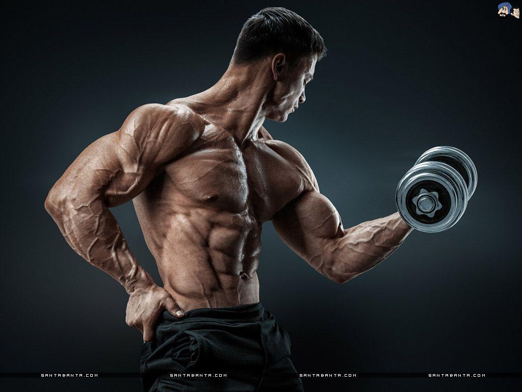 HD Wallpapers Body Builder - Wallpaper Cave