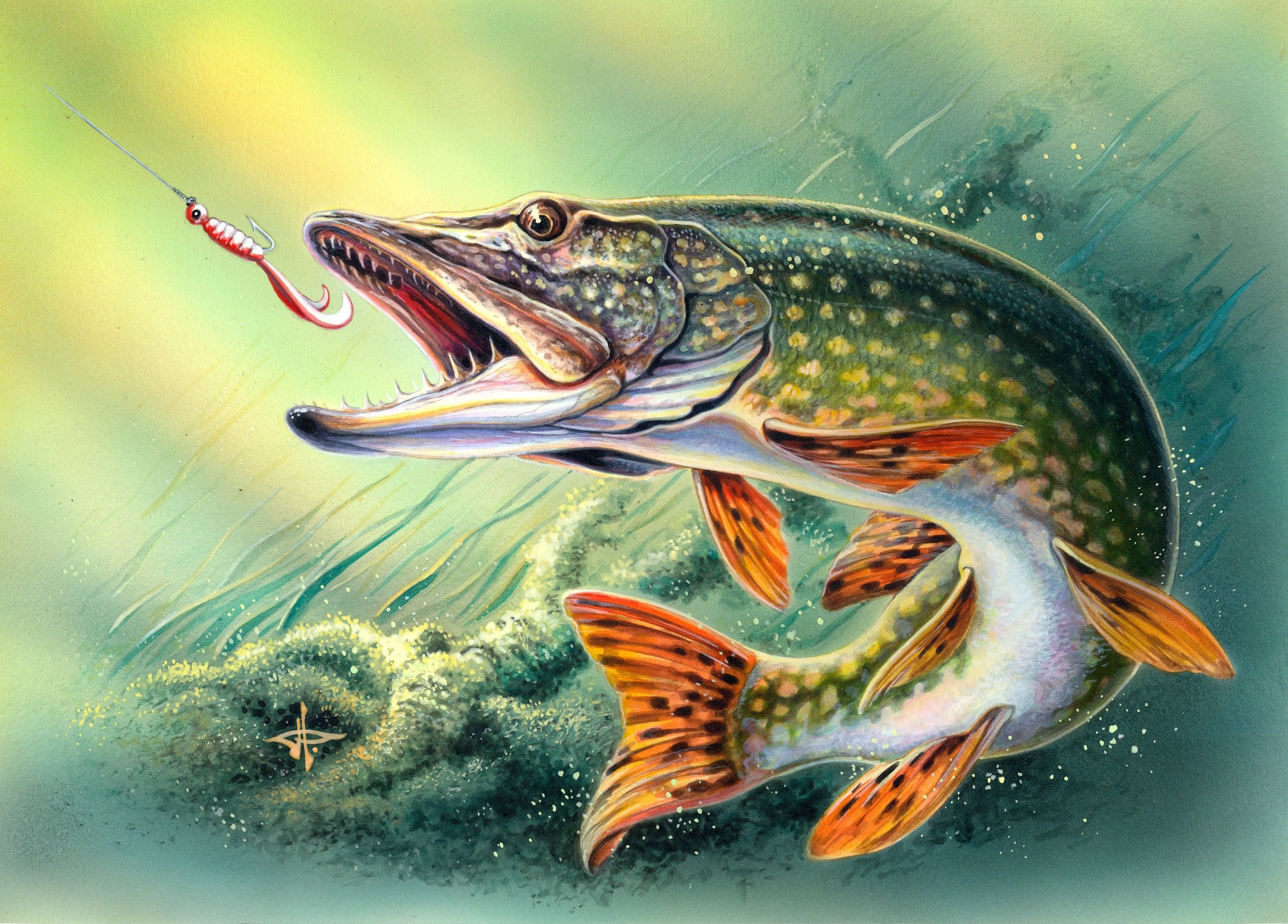 Walleyed Wallpapers For Phone - Wallpaper Cave