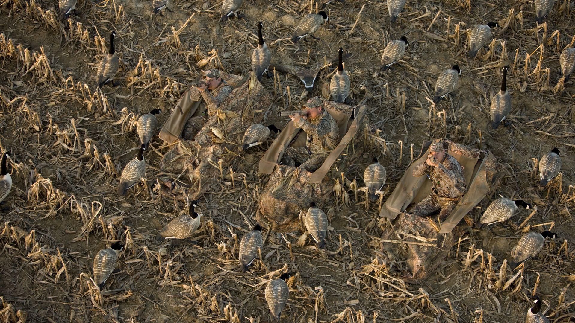 Realtree Max 5 Backgrounds - Wallpaper Cave