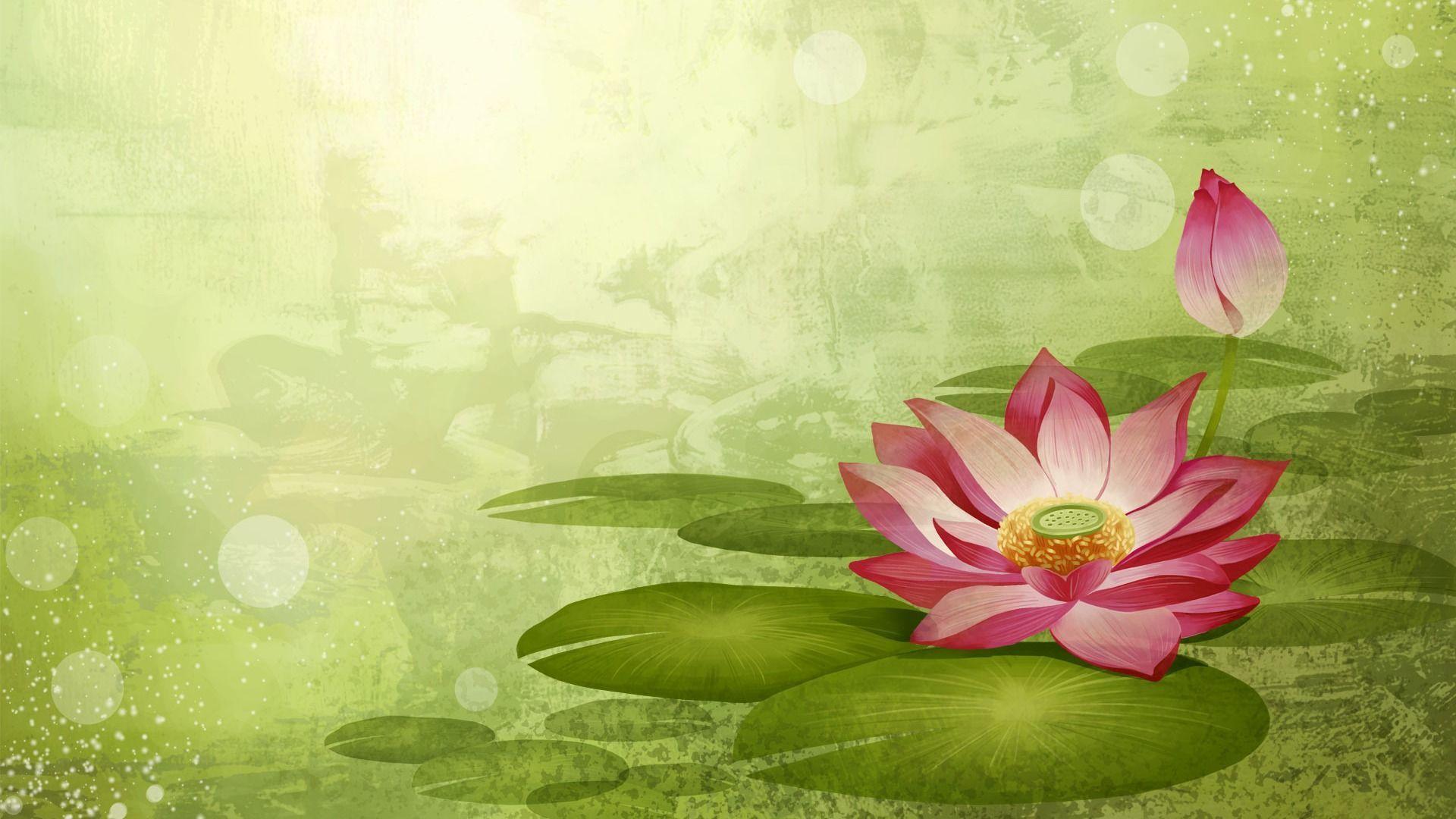 Lotus Design Wallpapers - Wallpaper Cave