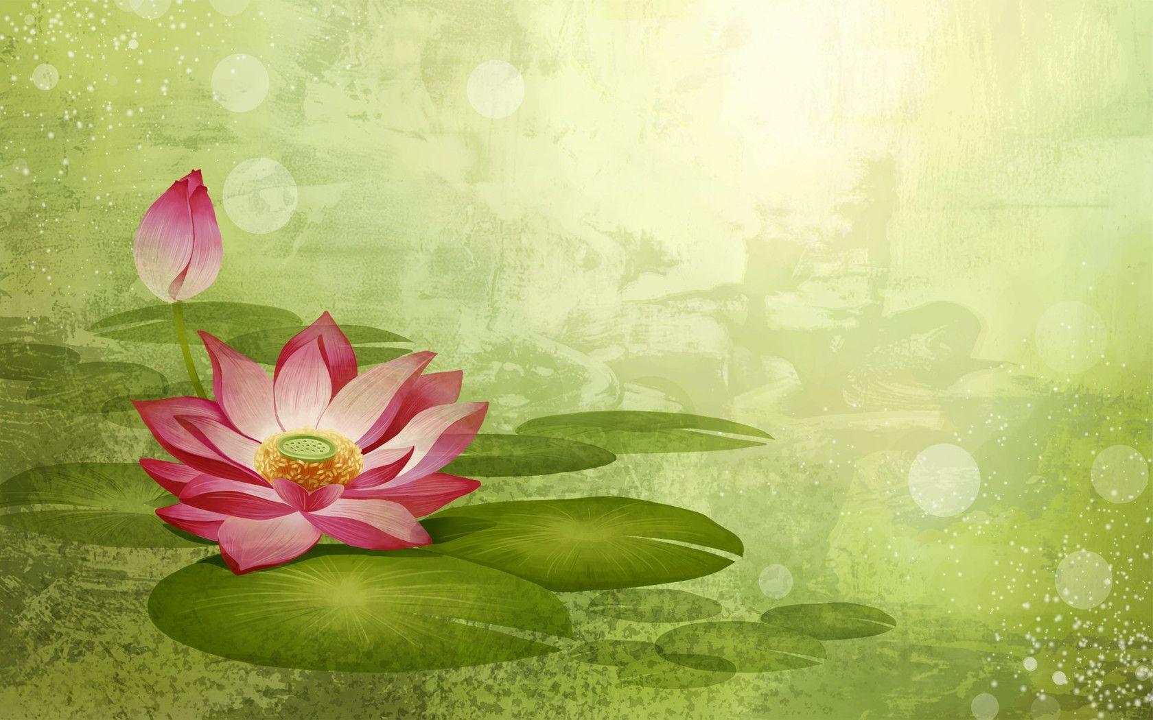 Lotus Design Wallpapers - Wallpaper Cave
