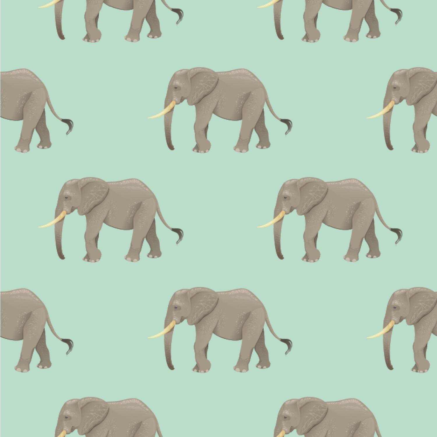 Elephant Backgrounds - Wallpaper Cave
