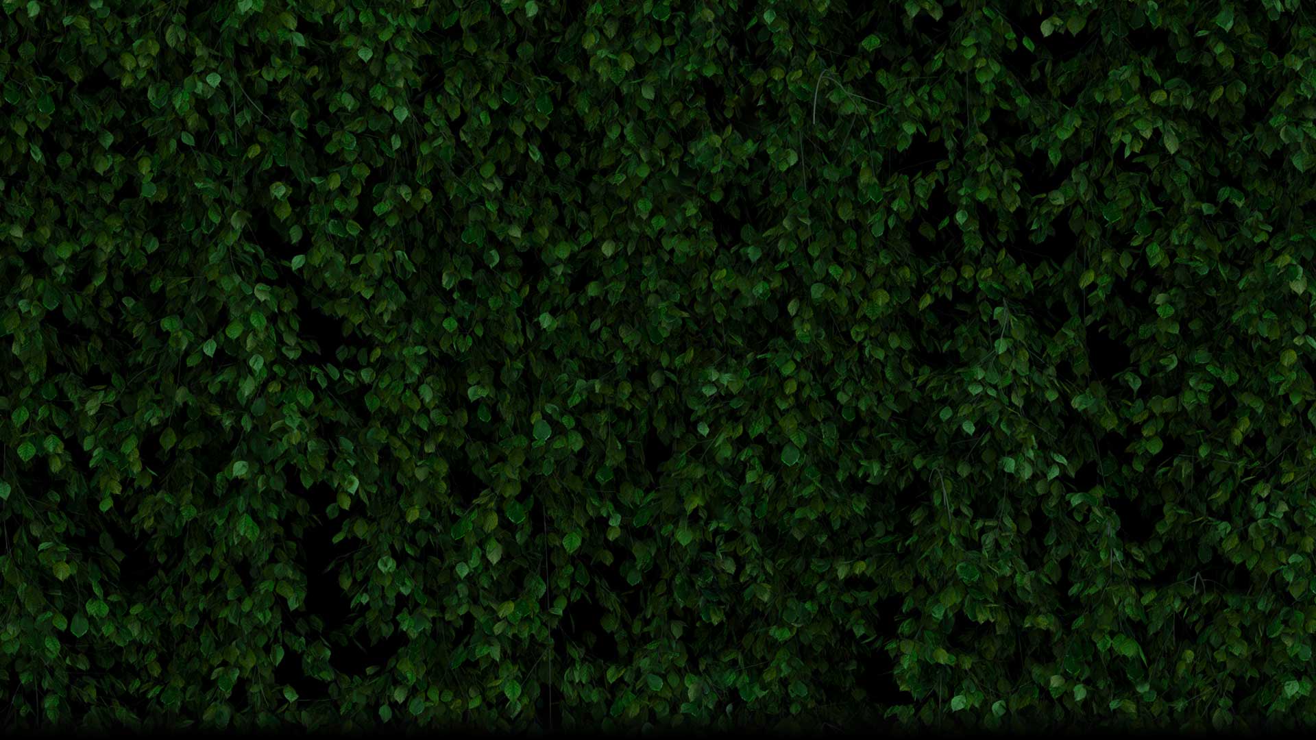 The Elder Scrolls Online: Summerset Wallpapers - Wallpaper Cave