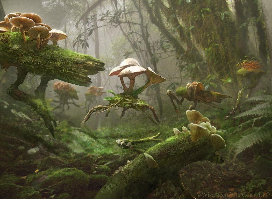 Moss Game Wallpapers - Wallpaper Cave