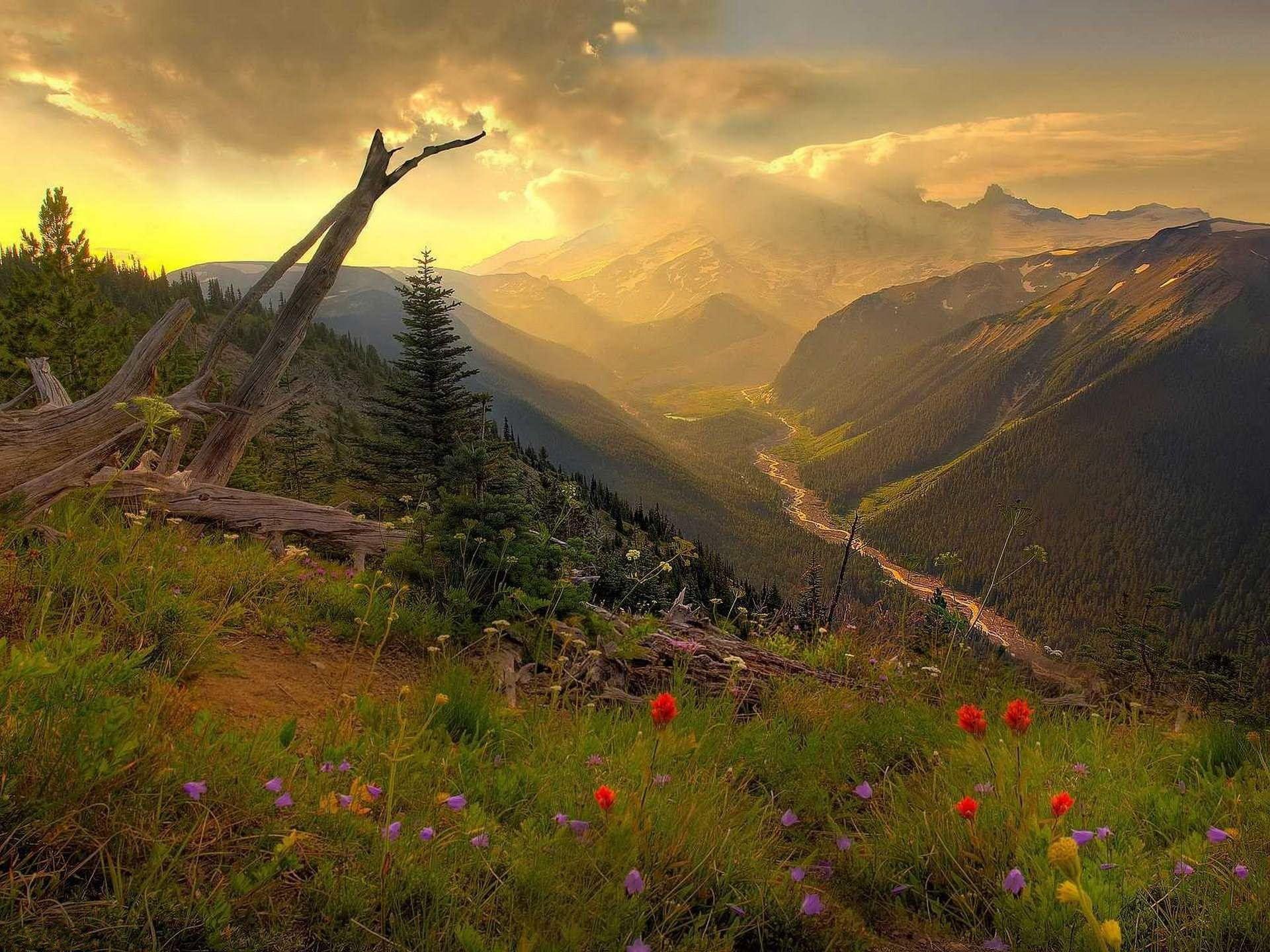 Chasm Wallpapers - Wallpaper Cave