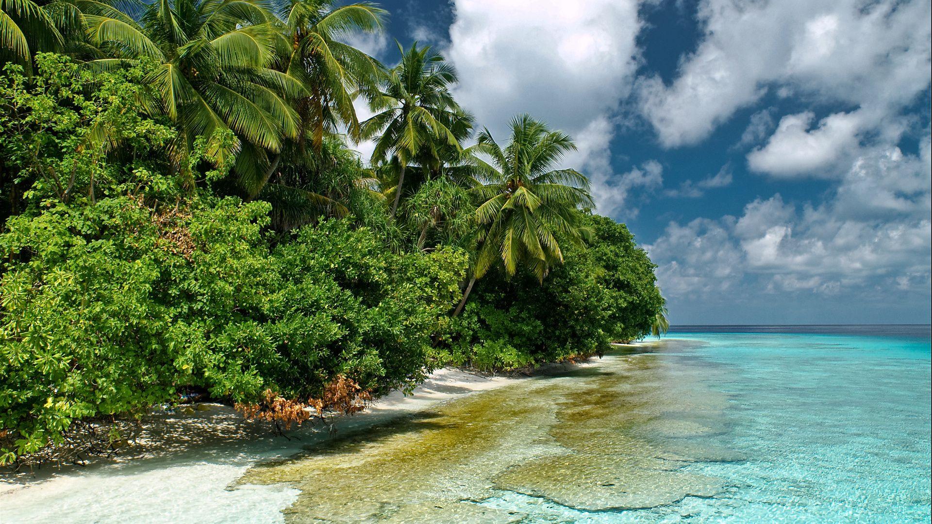 Indian Nature Wallpapers - Wallpaper Cave