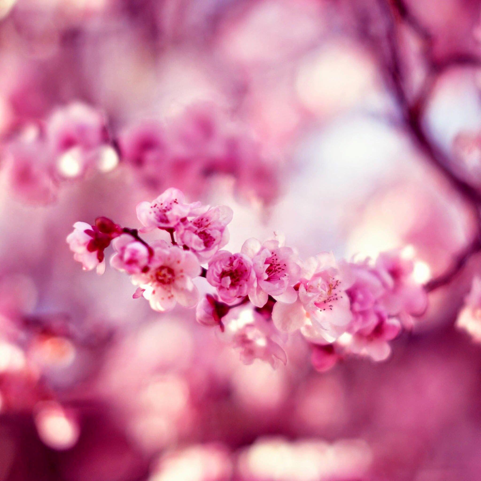 Pretty Twitter Backgrounds - Wallpaper Cave