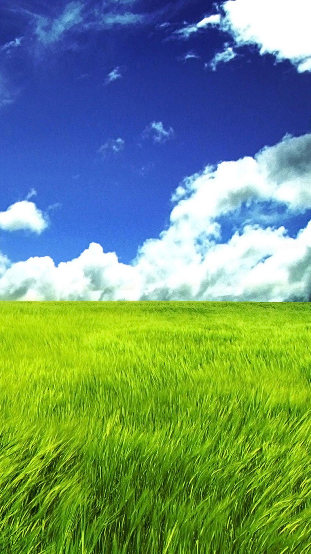 Grasslands Wallpapers - Wallpaper Cave