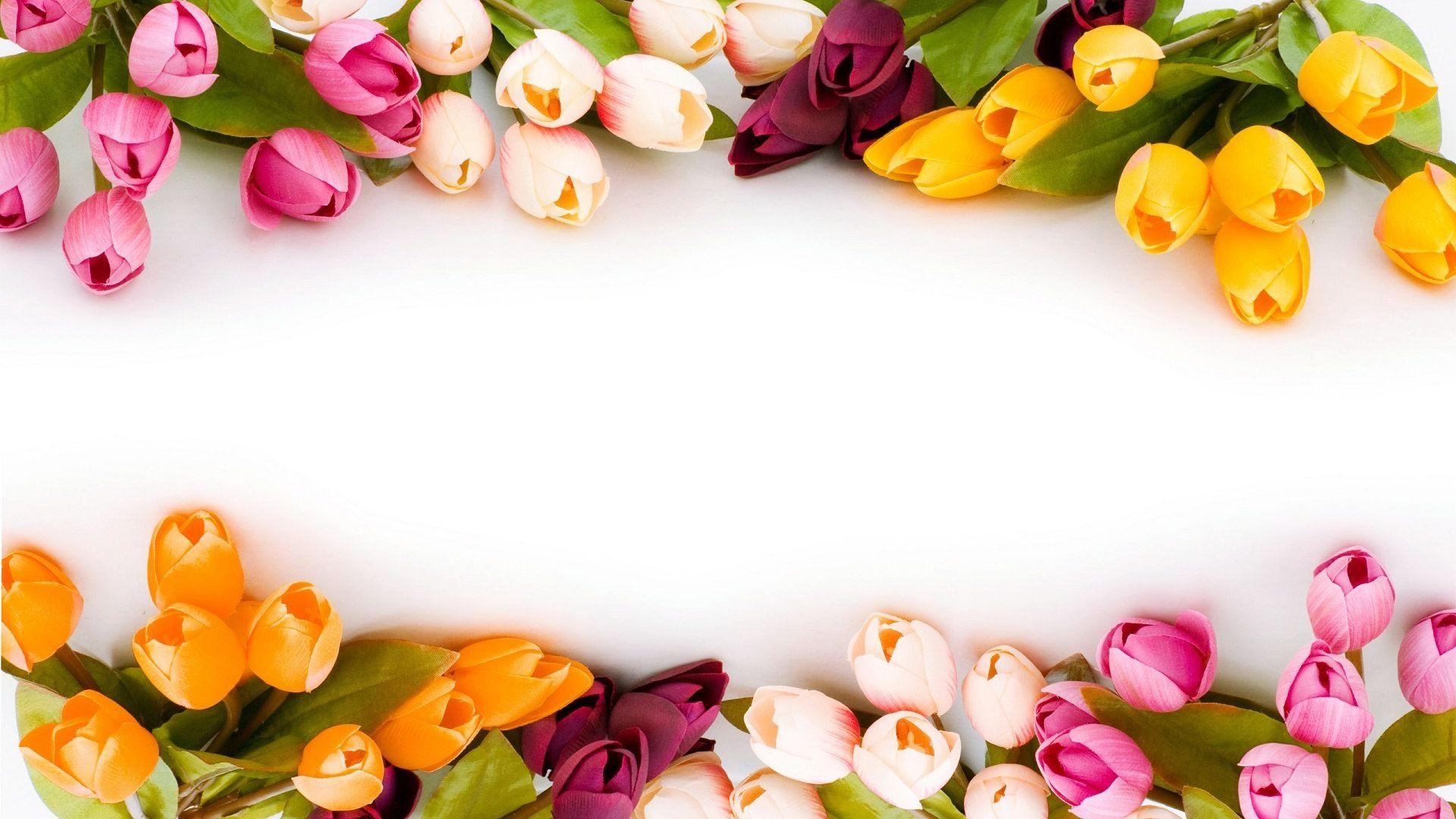 Flower Backgroundwallpapers - Wallpaper Cave