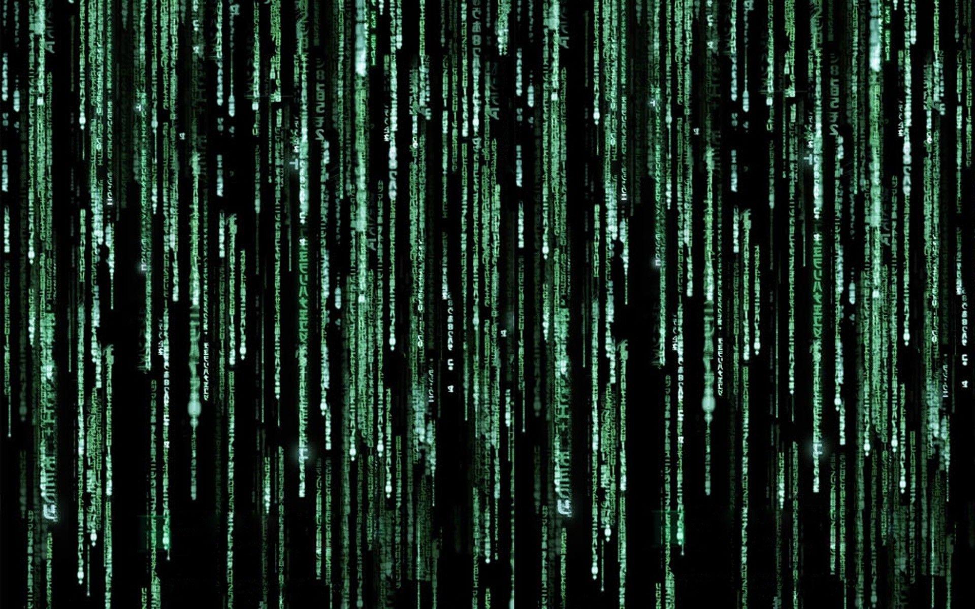 Matrix Wallpapers HD - Wallpaper Cave