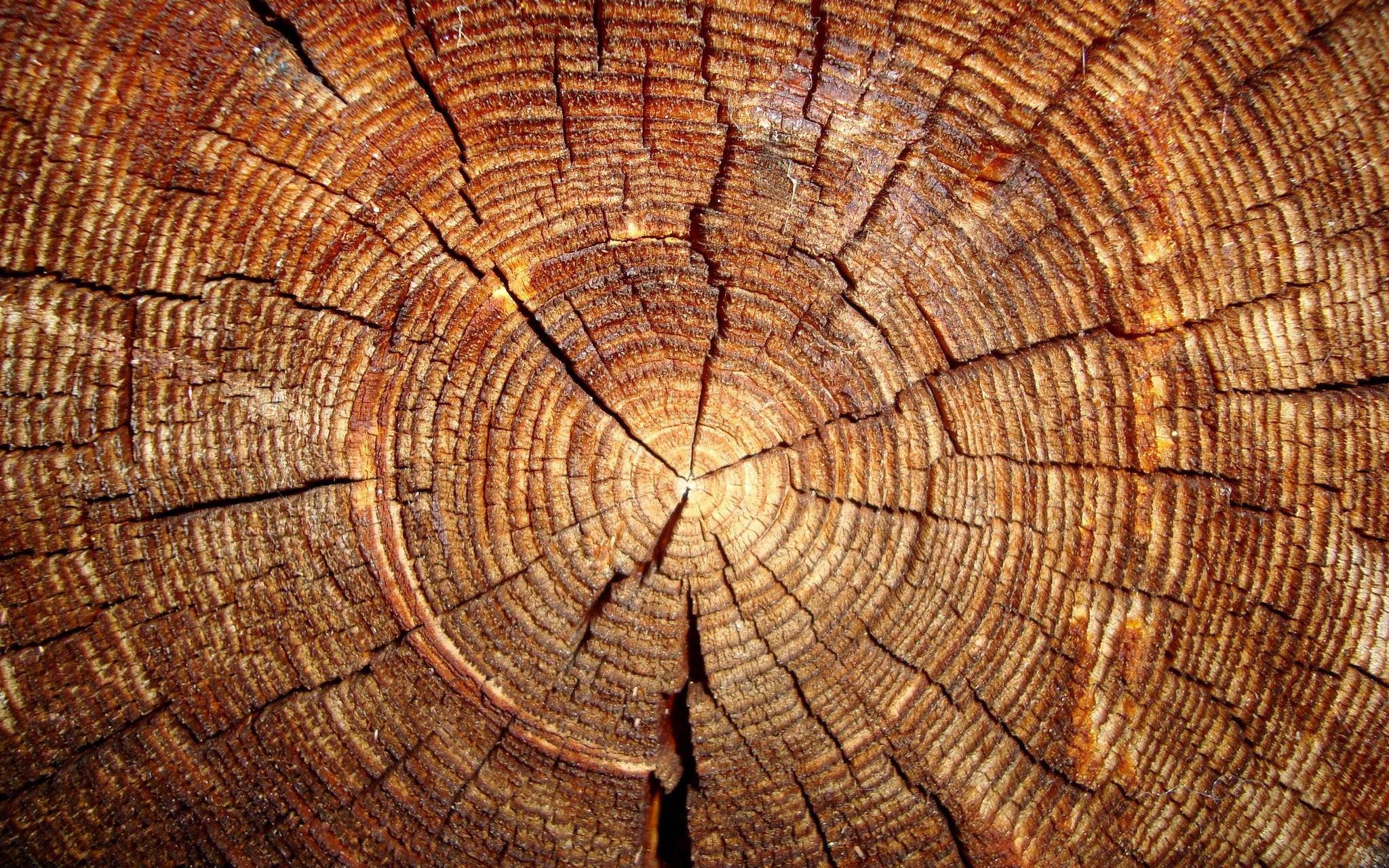 HD Hardwood Wallpapers - Wallpaper Cave