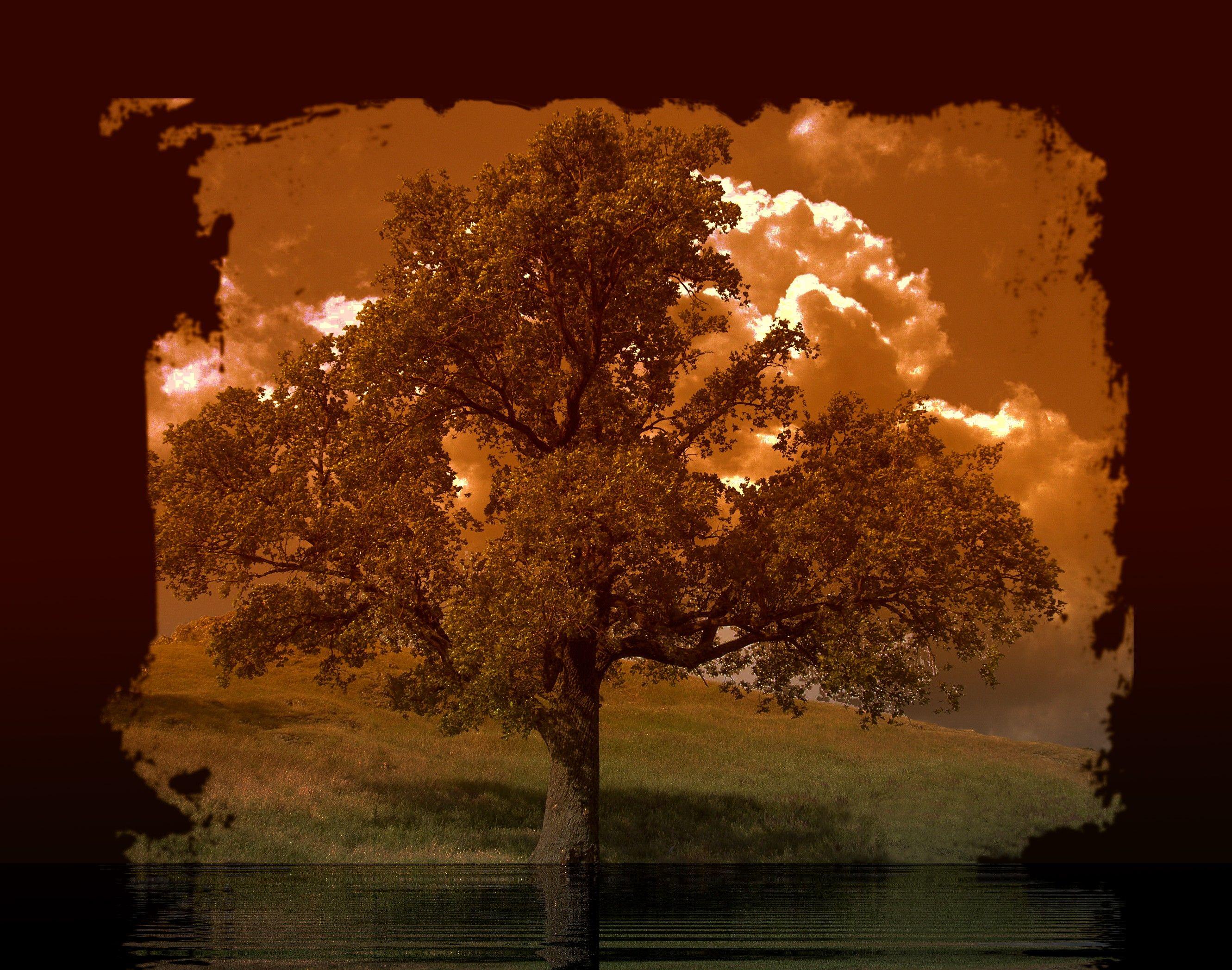 Sepia Effect Wallpapers - Wallpaper Cave