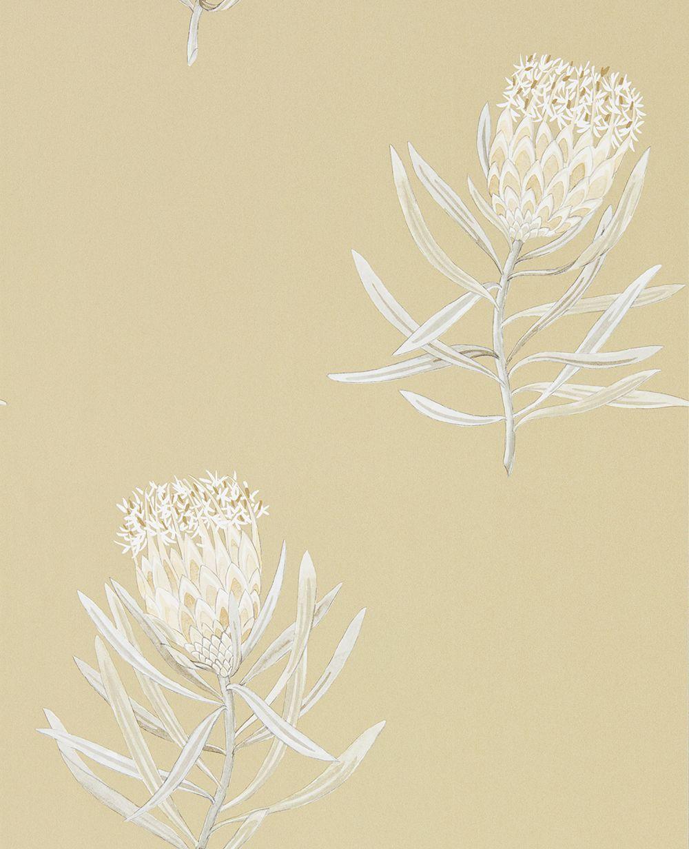 Sepia Effect Wallpapers - Wallpaper Cave