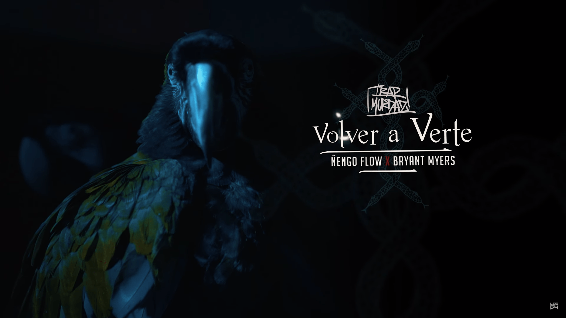 Ñengo Flow Wallpapers - Wallpaper Cave