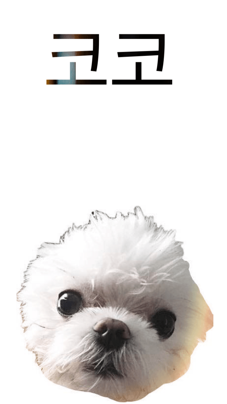 GOT7 Coco Wallpapers - Wallpaper Cave