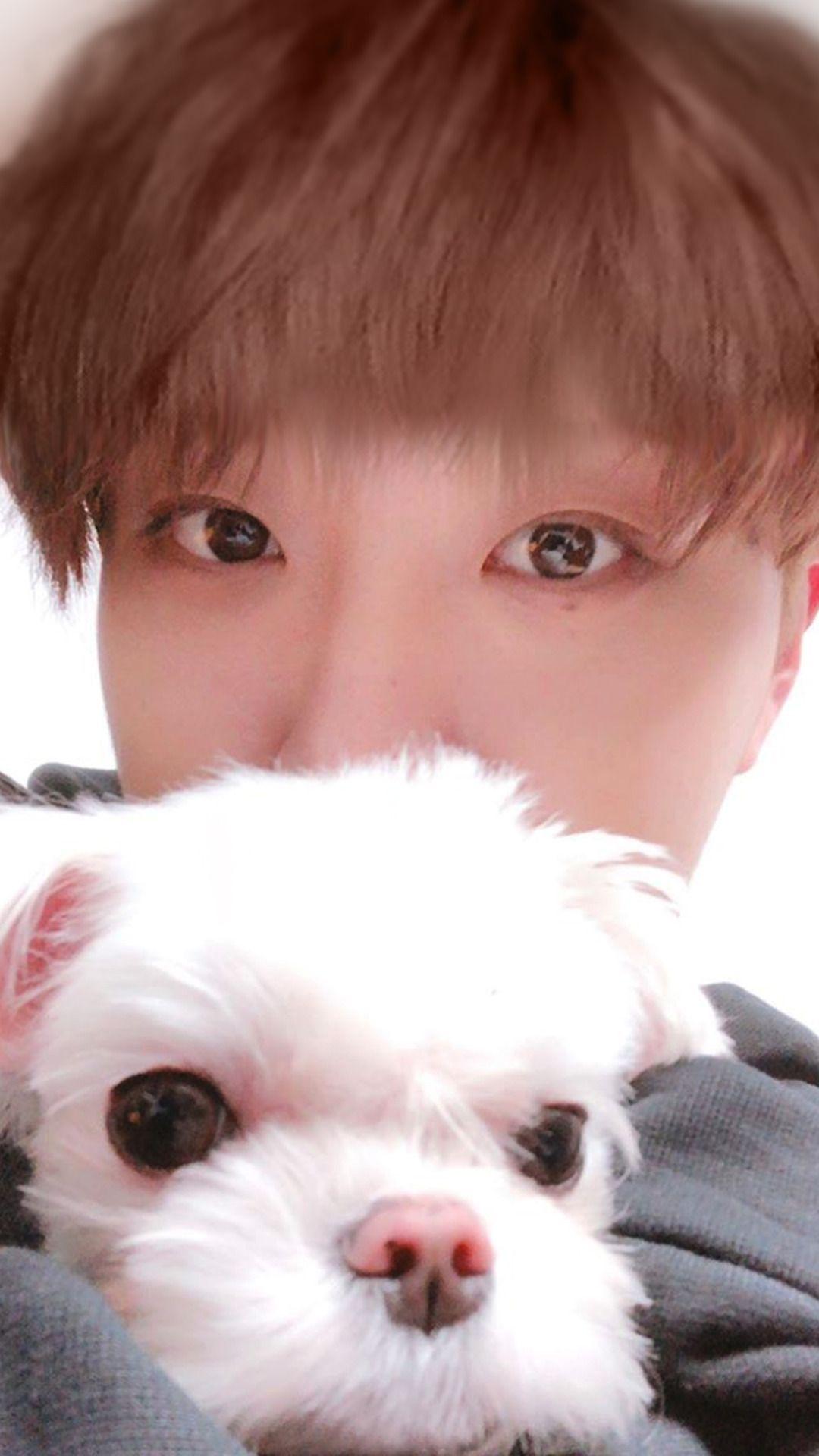 GOT7 Coco Wallpapers - Wallpaper Cave