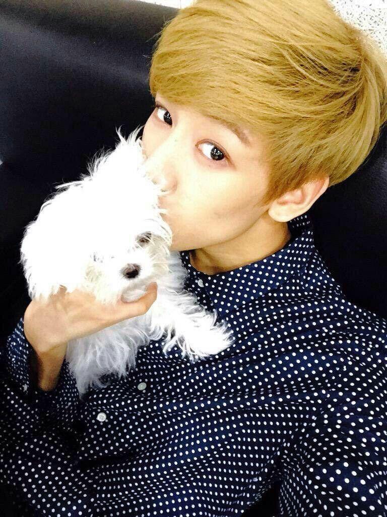 GOT7 Coco Wallpapers - Wallpaper Cave