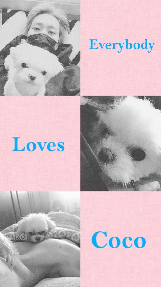 GOT7 Coco Wallpapers - Wallpaper Cave