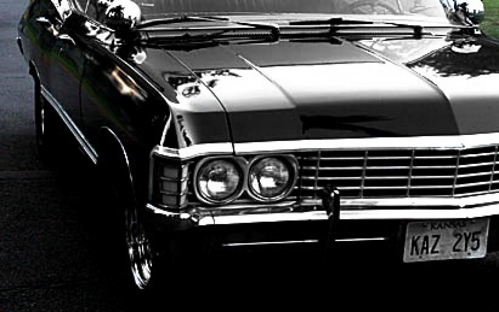 Impala Wallpapers - Wallpaper Cave