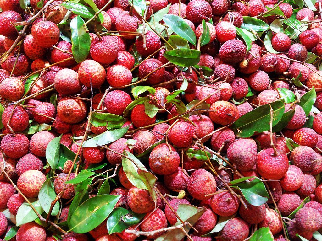 Litchi Wallpapers - Wallpaper Cave