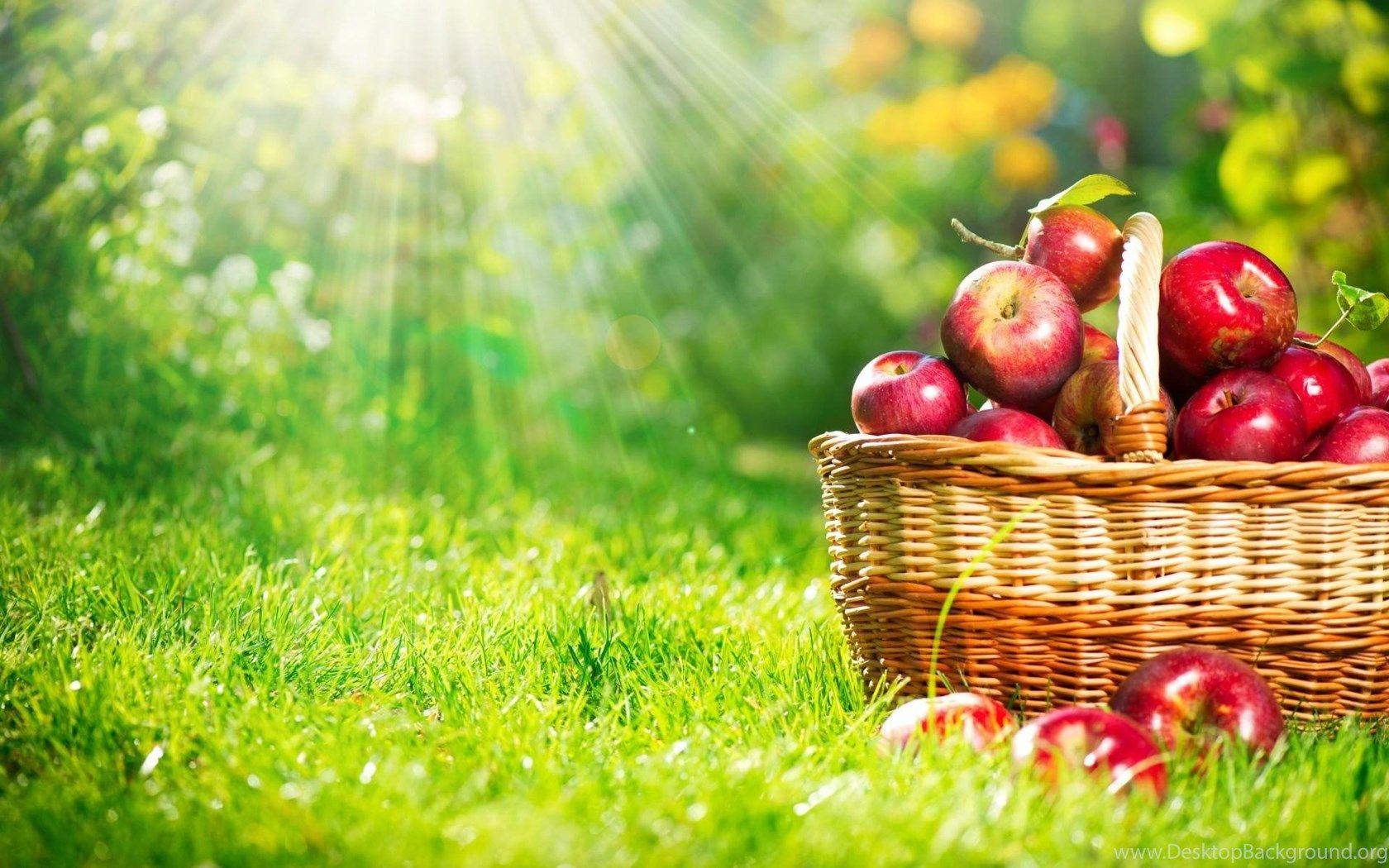 Apple Day Wallpapers - Wallpaper Cave