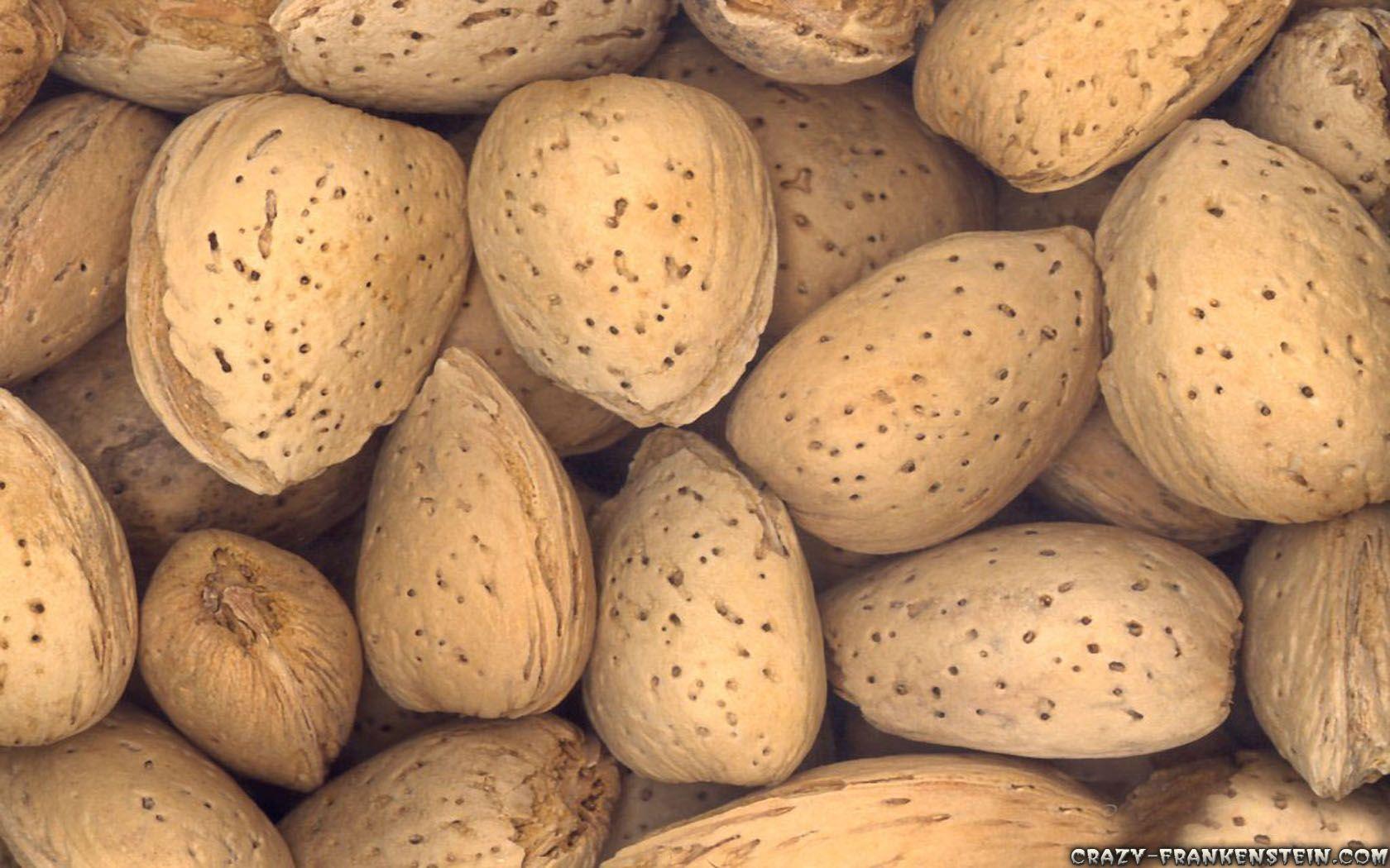 Seeds Wallpapers - Wallpaper Cave