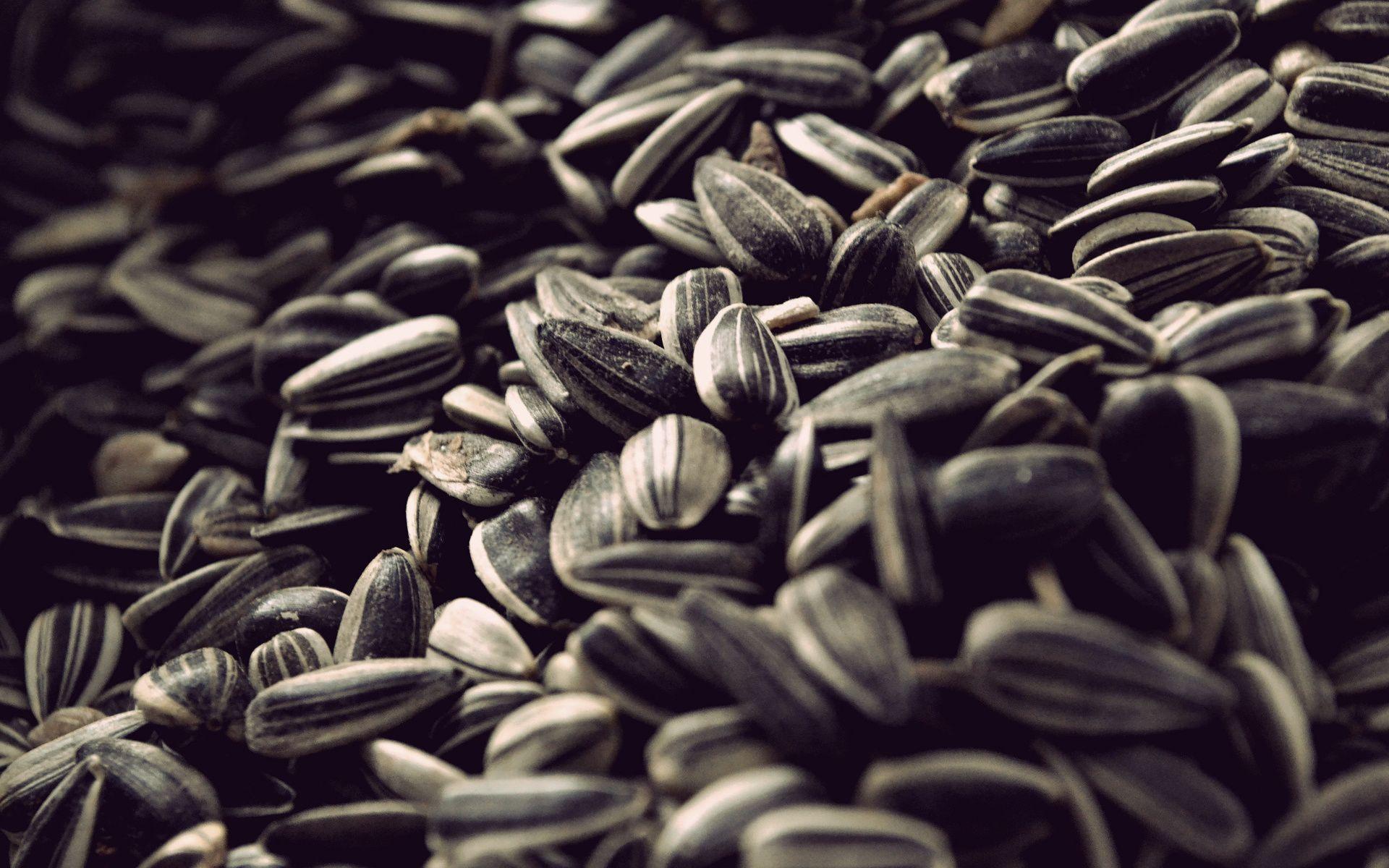 Seeds Wallpapers - Wallpaper Cave
