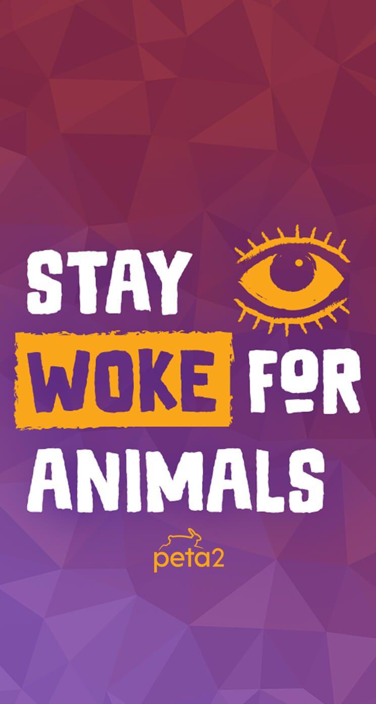 Stay Woke Wallpapers - Wallpaper Cave